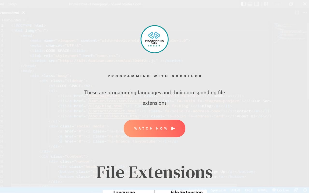 Programming with Goodluck